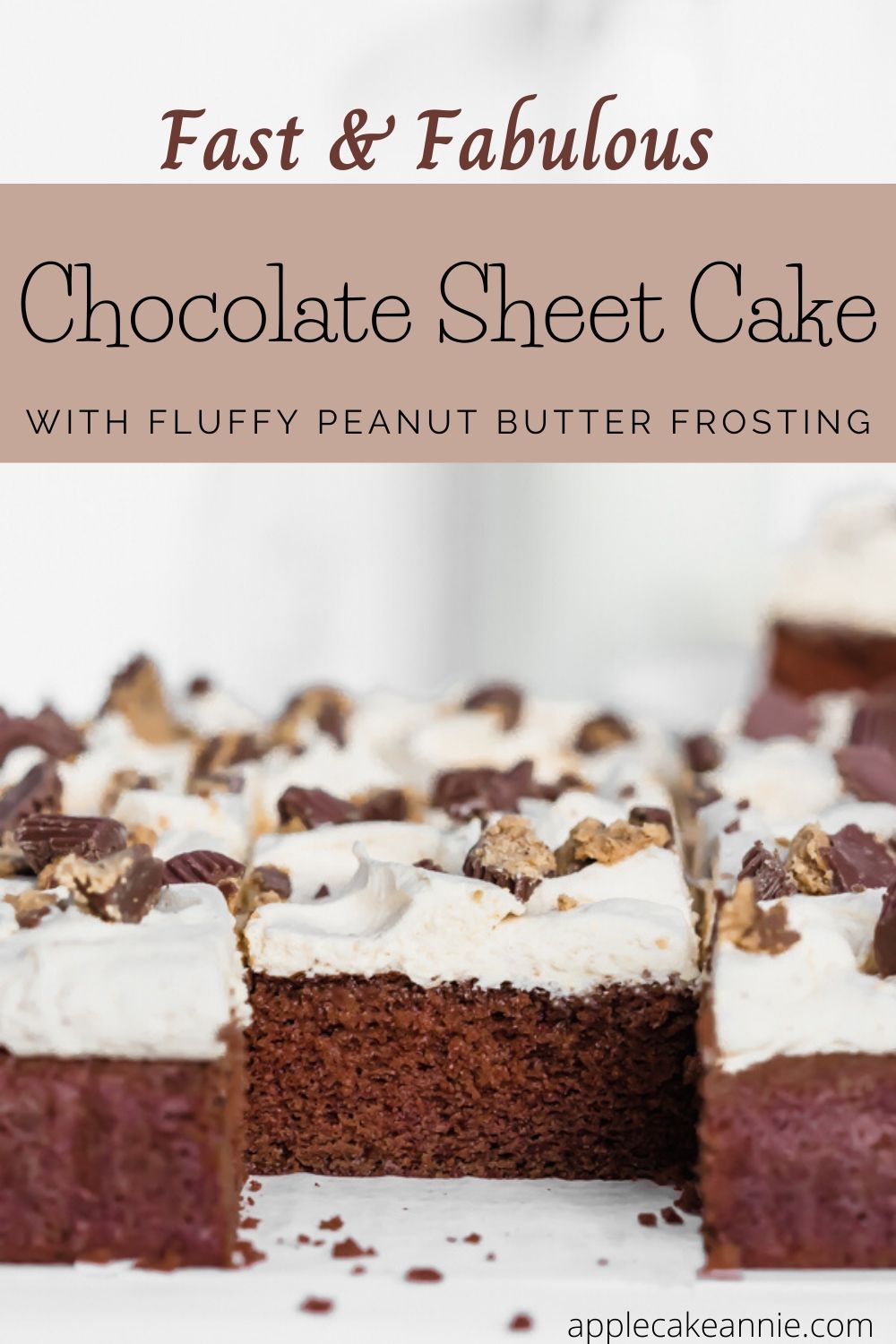 Easy Chocolate Sheet Cake with Peanut Butter Frosting - Apple Cake Annie
