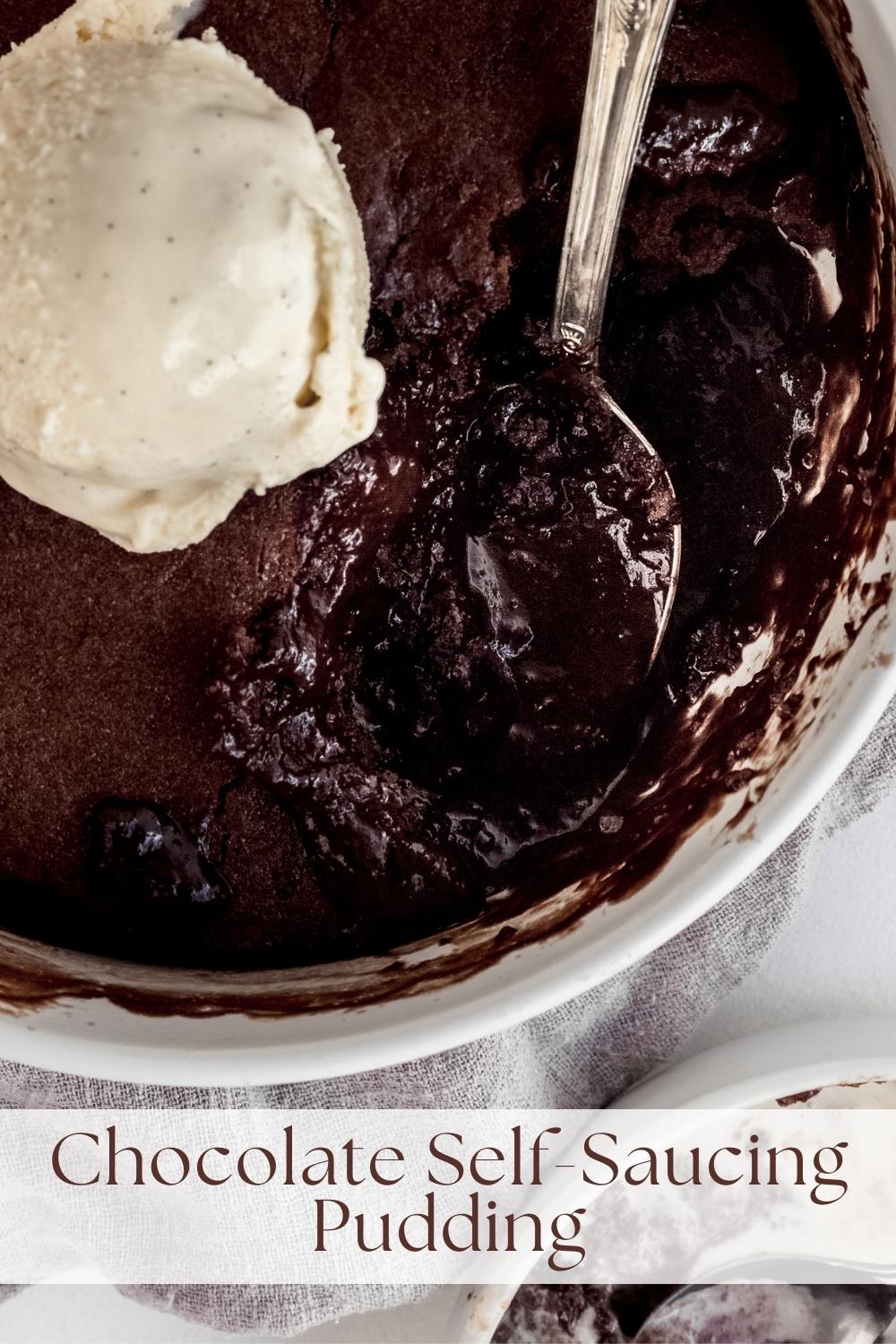 Chocolate Self Saucing Pudding - Apple Cake Annie