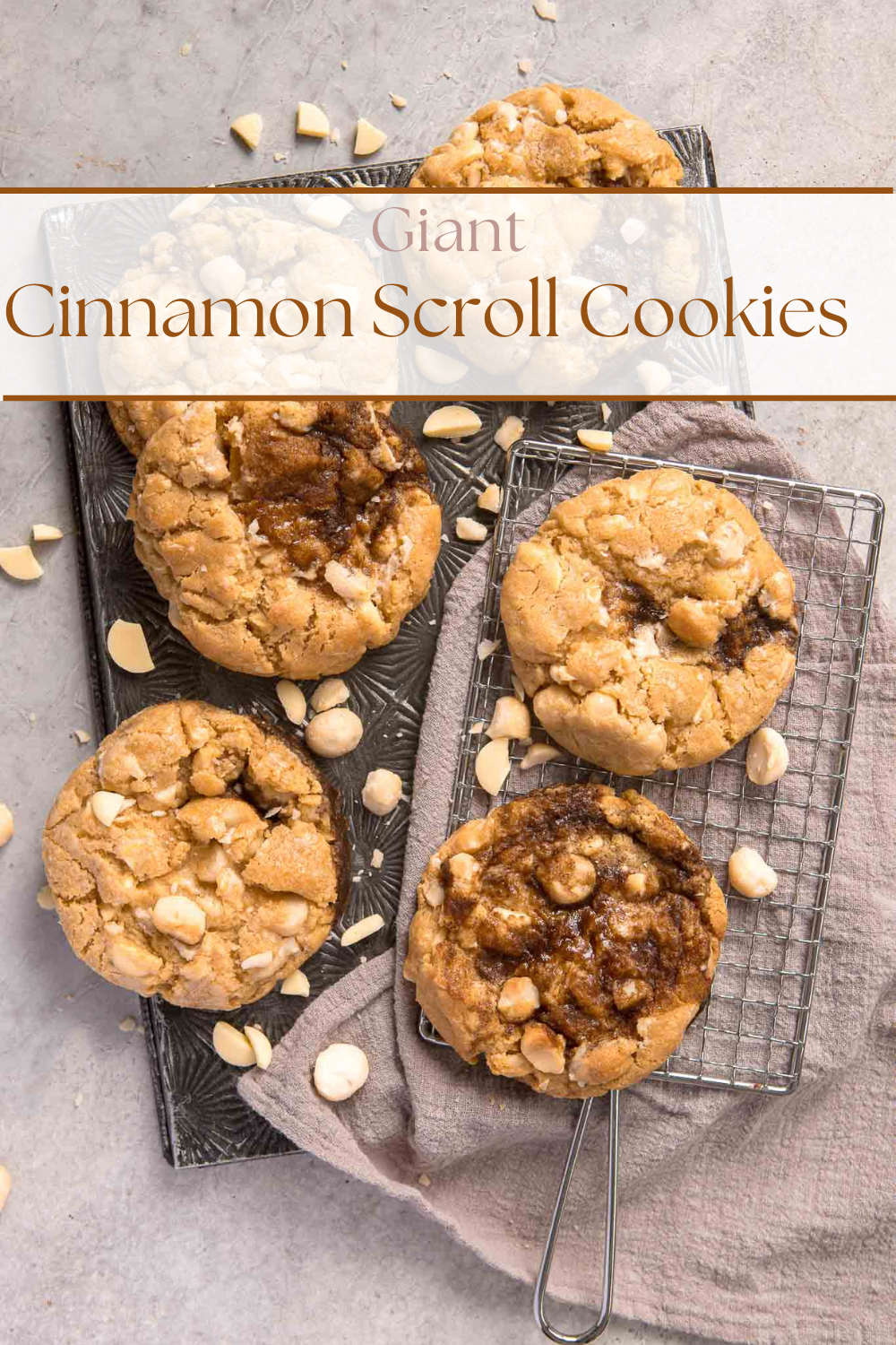 An Easy Recipe For Chewy & Delicious Cinnamon Scroll Cookies - Apple ...