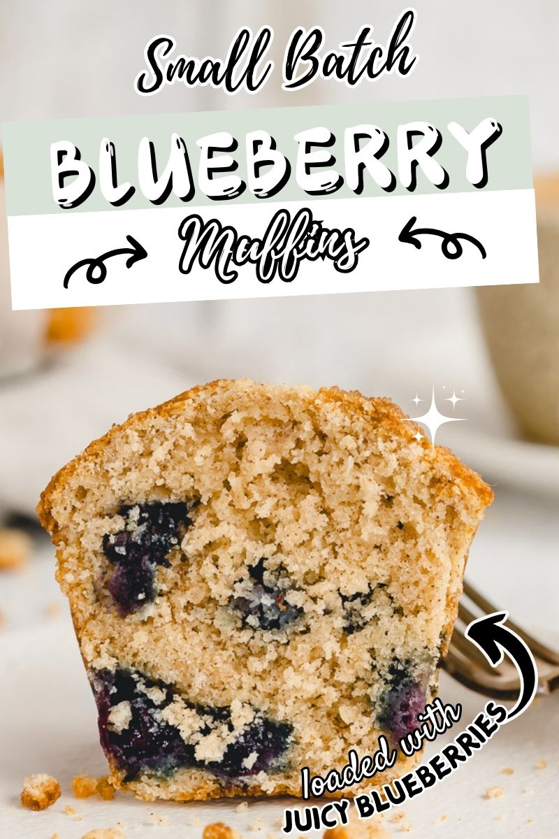 Small Batch Blueberry Muffins - Apple Cake Annie
